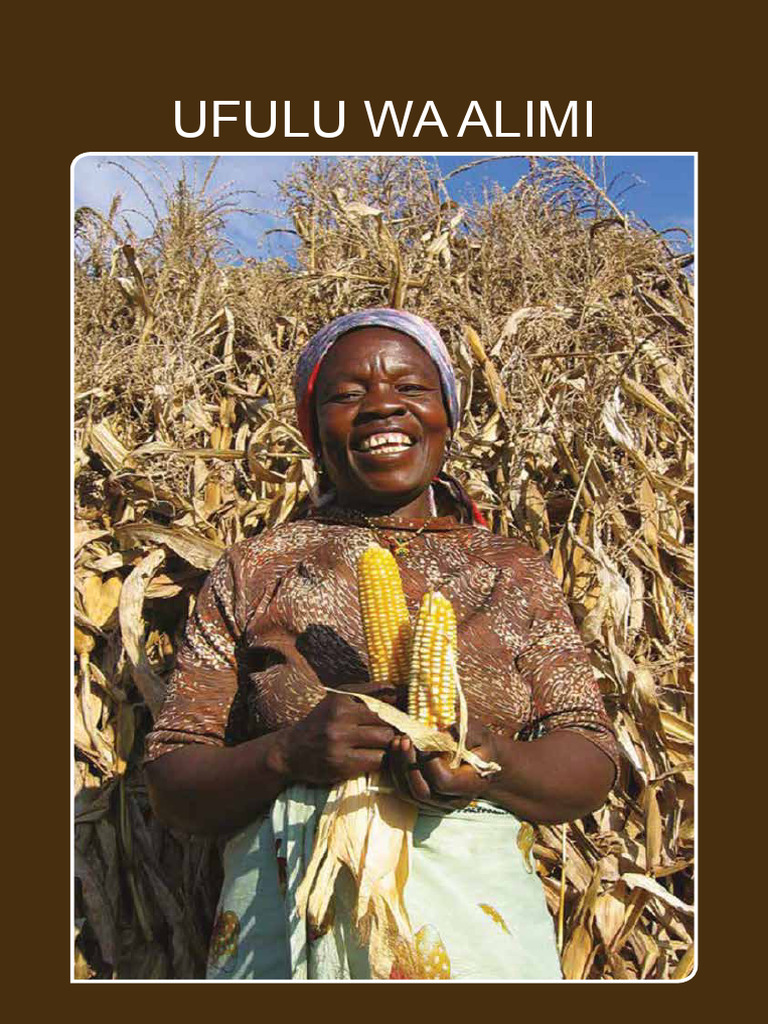Capacity Building Chichewa | PDF | Food Industry | Natural Environment