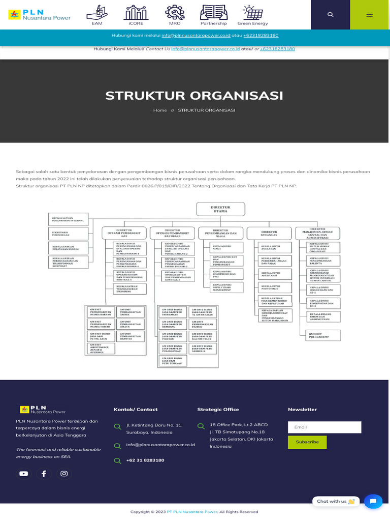 Struktur Organisasi PLN NP | PDF