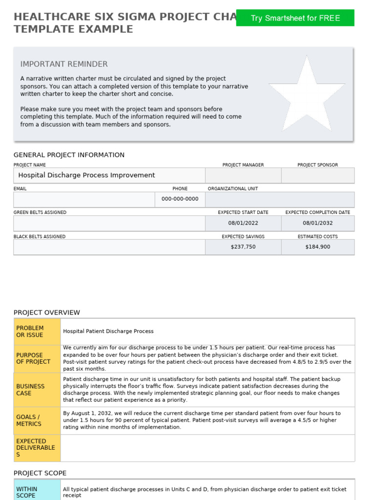 IC Healthcare Six Sigma Project Charter Example 11480 - WORD | PDF ...