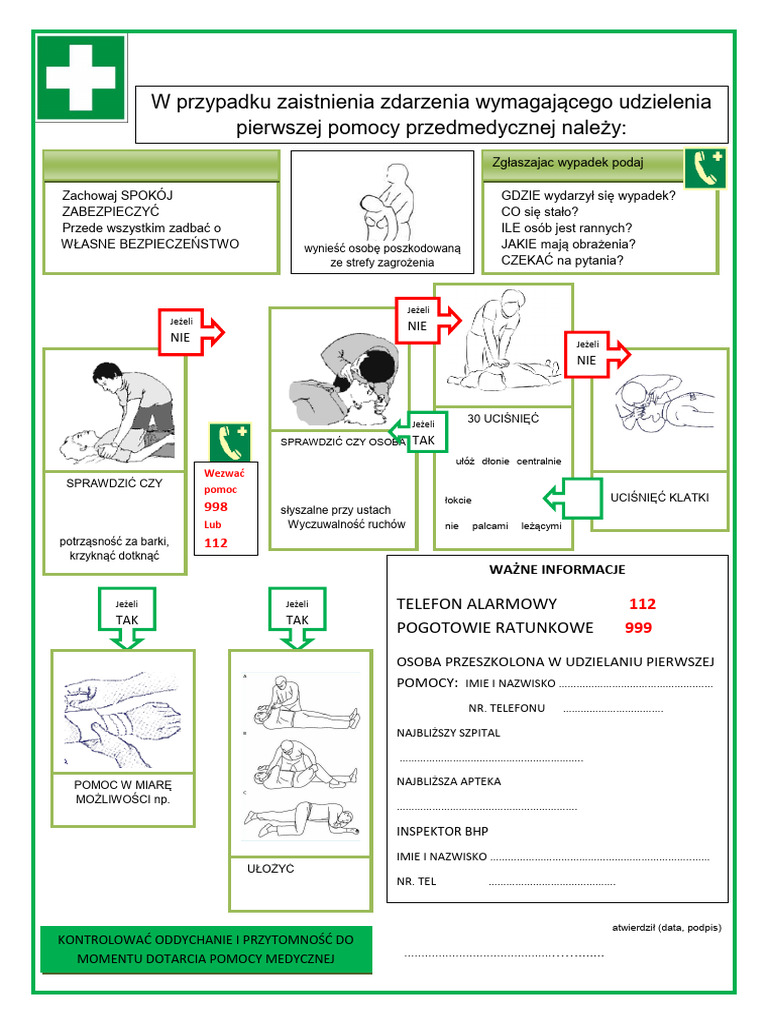 INSTRUKCJA UDZIELANIA PIERWSZEJ POMOCY - Wer2 | PDF