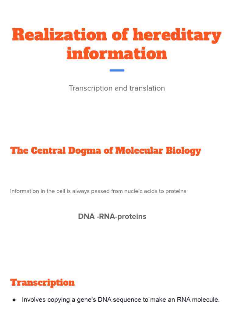 Realization of Hereditary Information | PDF | Translation (Biology) | Rna