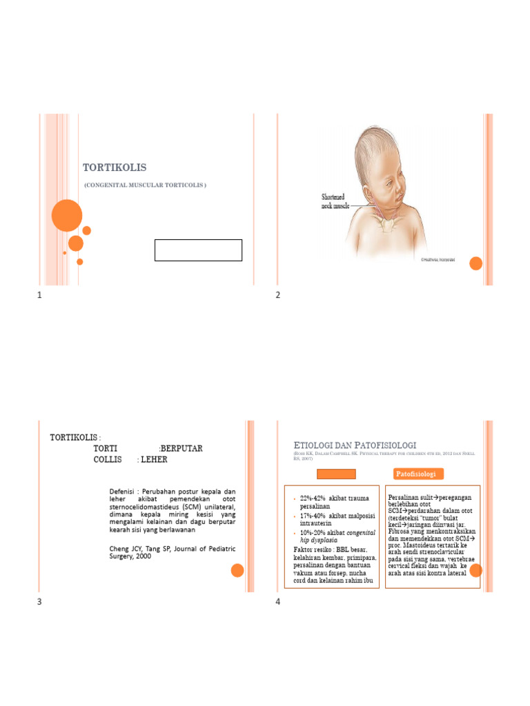Handout TM 6 Neuromuscularskeletal (Tortikolis) DIV UI 2024 | PDF