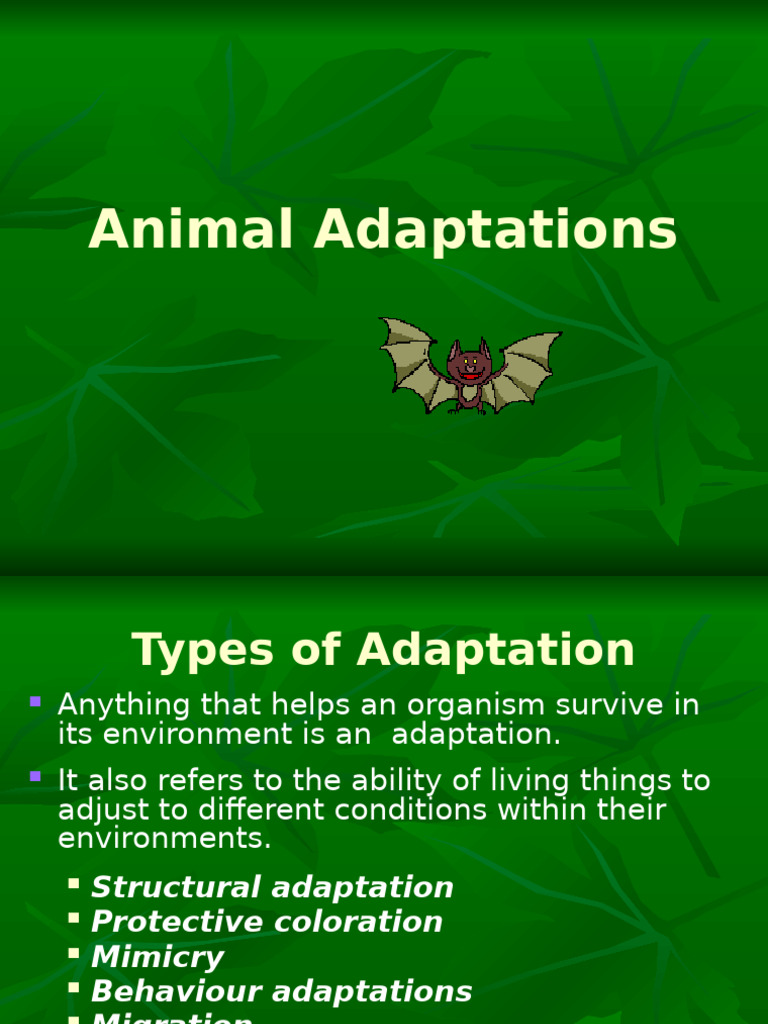 Understanding Animal Adaptations | PDF