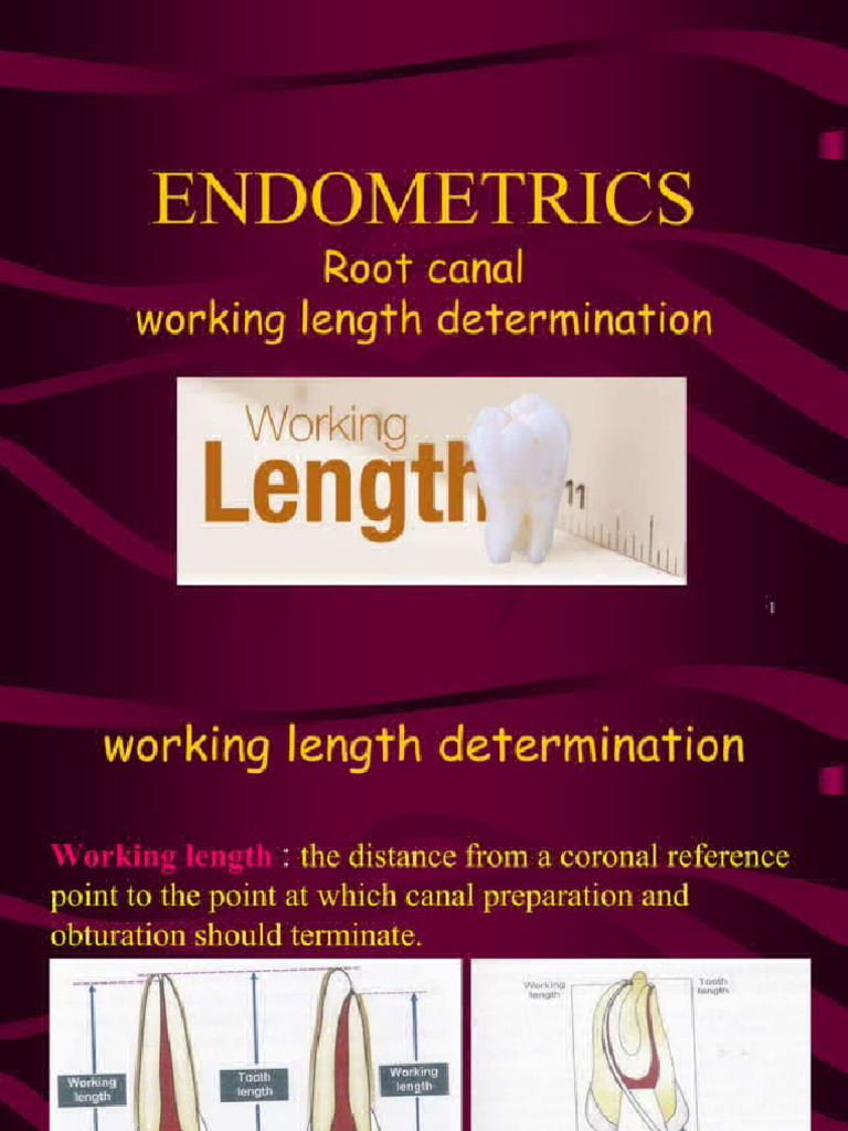 Working Length Detemination (Endodontics) | PDF