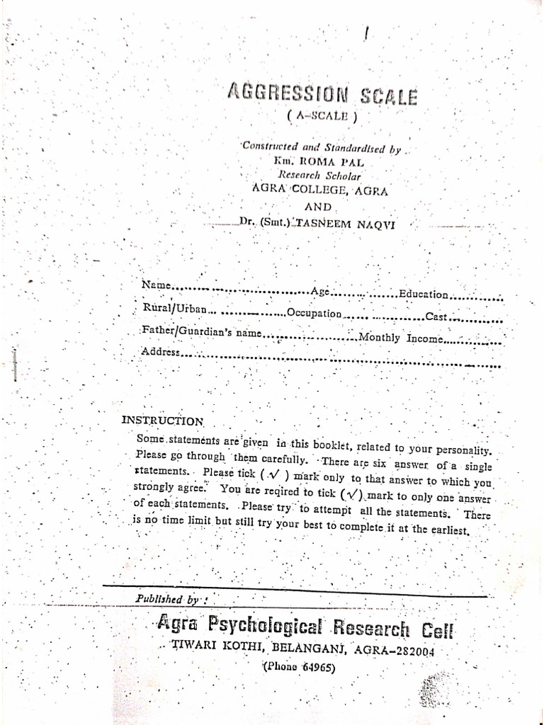 Aggression Scale | PDF