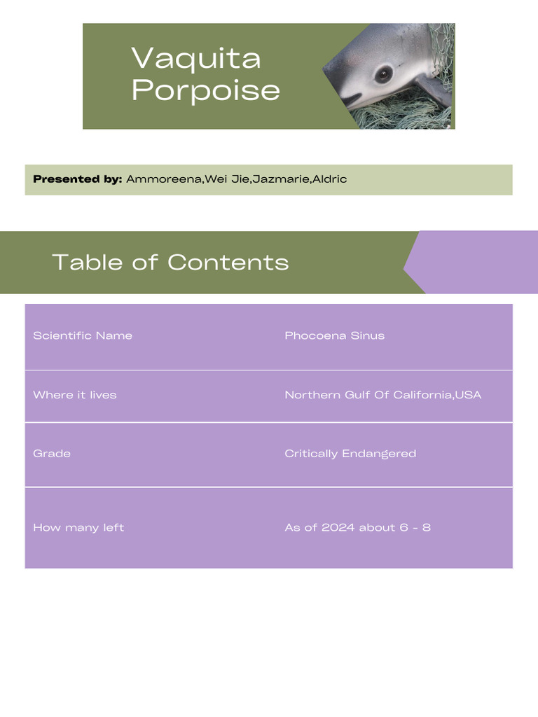 Map of The Organization PDF | PDF | Home & Garden | Science & Mathematics