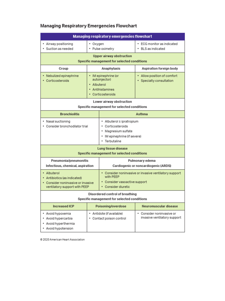Respiratory Emergency Guide | PDF | Respiratory Diseases | Clinical ...