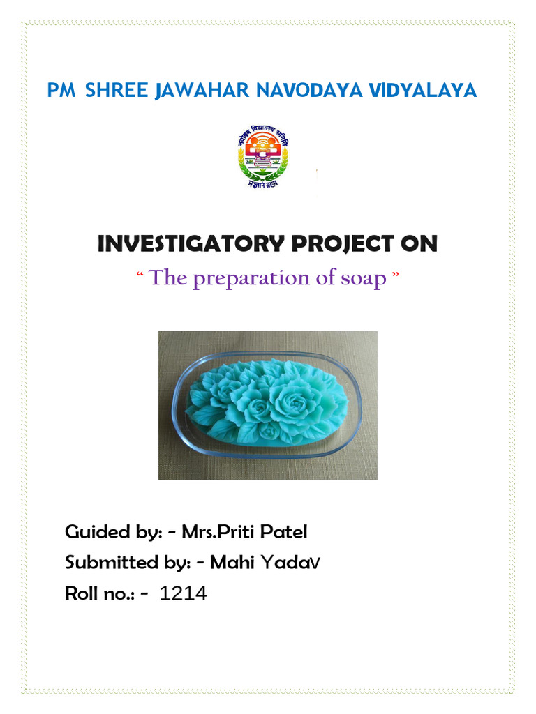 Soap Making Project For Cbse Class 12 | PDF | Soap | Detergent