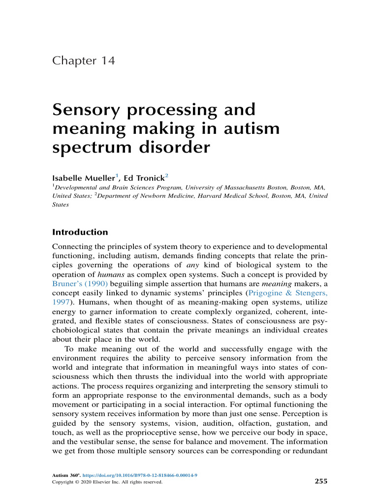 Chapter 14 - Sensory Processing and Meaning Making in Autism S - 2020 ...