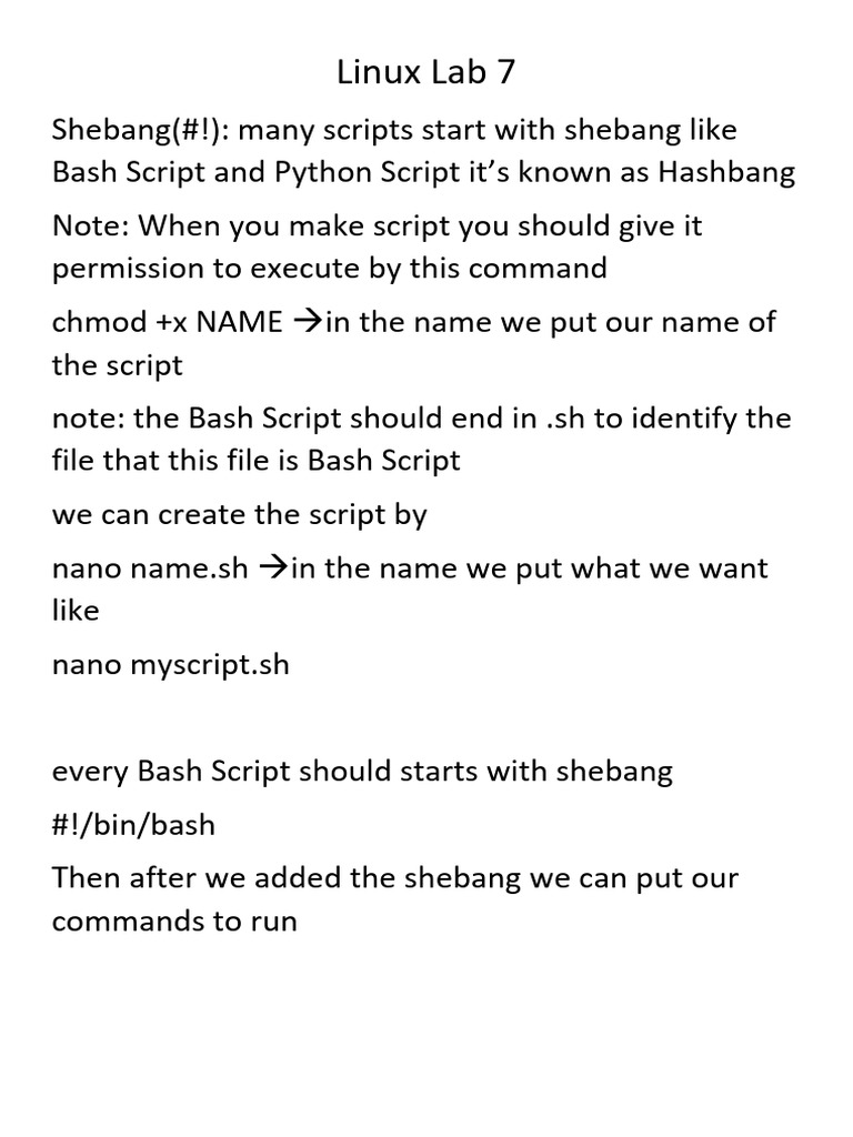 Bash Scripting Basics for Beginners | PDF