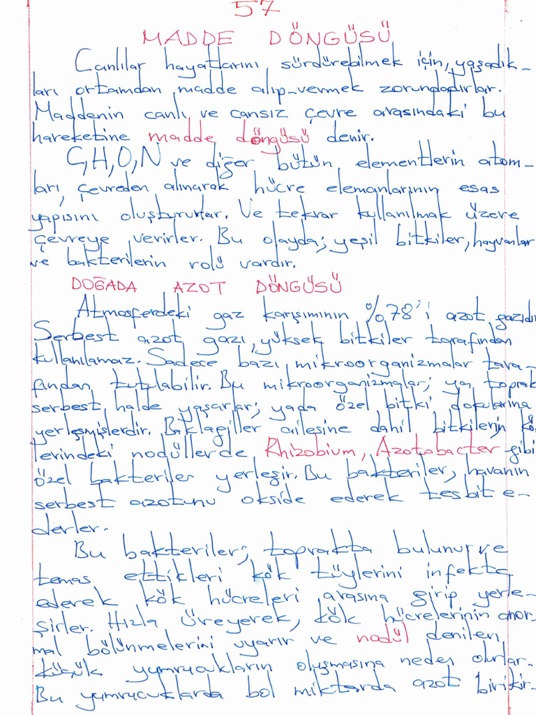 Madde Döngüleri̇-1 | PDF