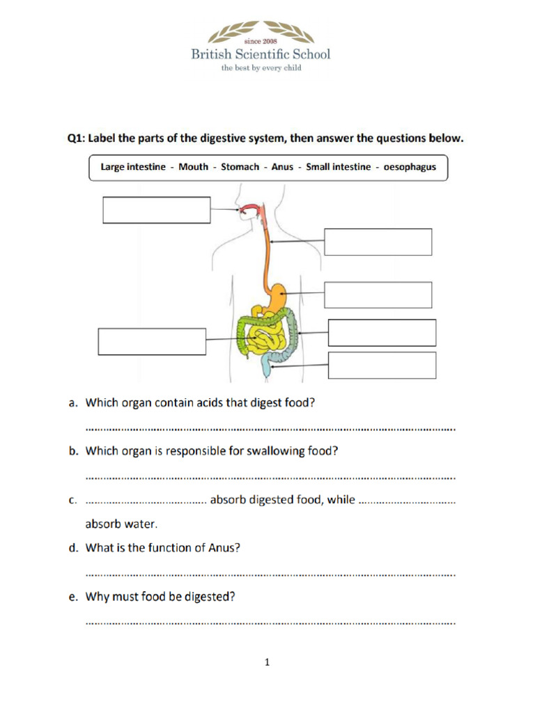 End of Lesson 3 | PDF