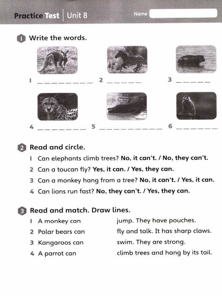 Big English 2 Test - Unit 8 (WWW - Languagecentre.ir) | PDF