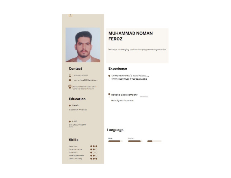 Noman Feroz-Cv | PDF