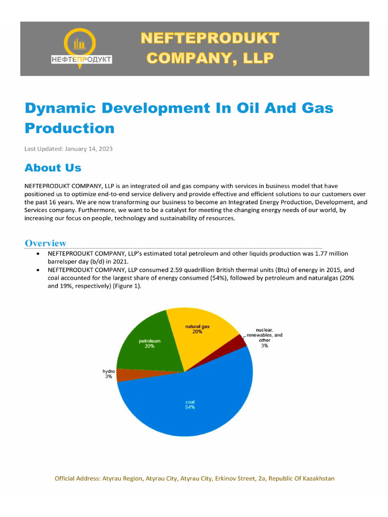NP - Company Profile | PDF