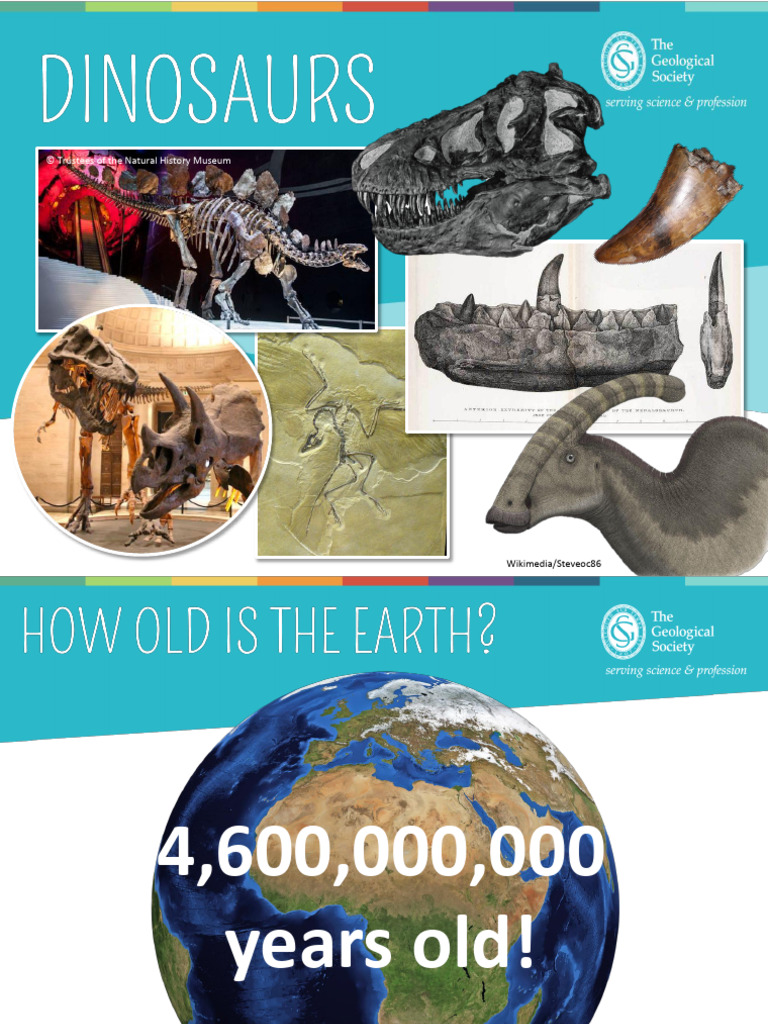 Ks2dinosaurpresentation 180506162831 | PDF | Dinosaurs | Dinosauromorphs