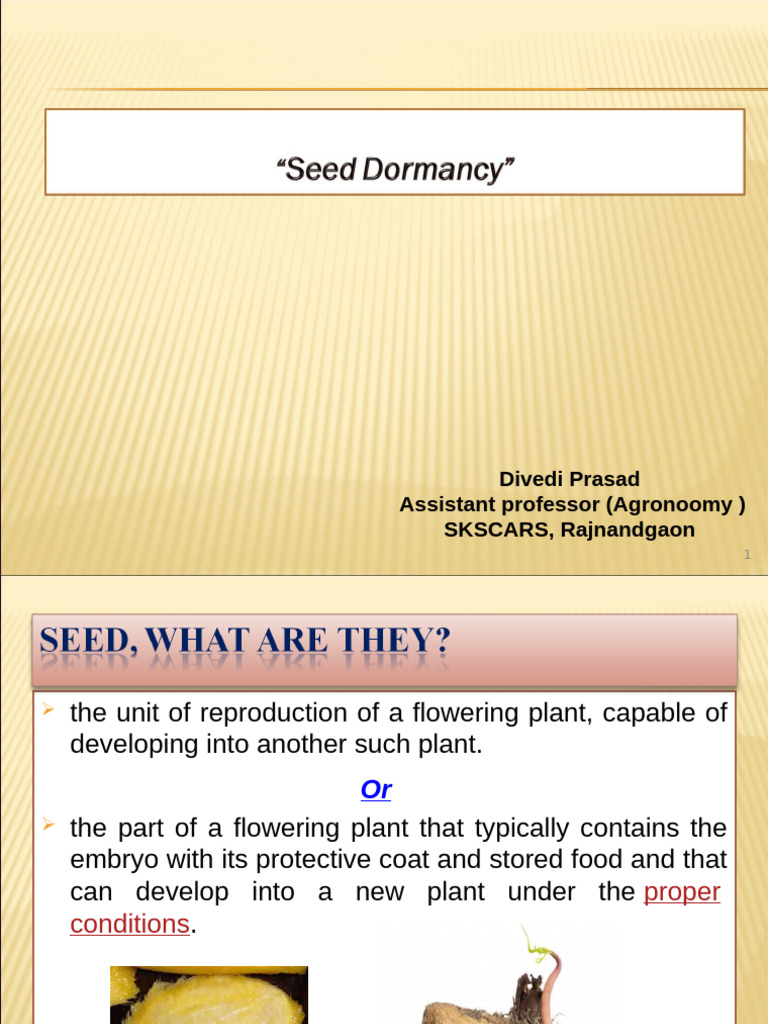 Understanding Seed Dormancy Types | PDF | Seed | Germination