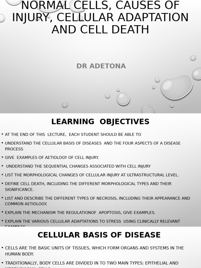 Cellular Injury and Death Mechanisms | PDF | Endoplasmic Reticulum ...