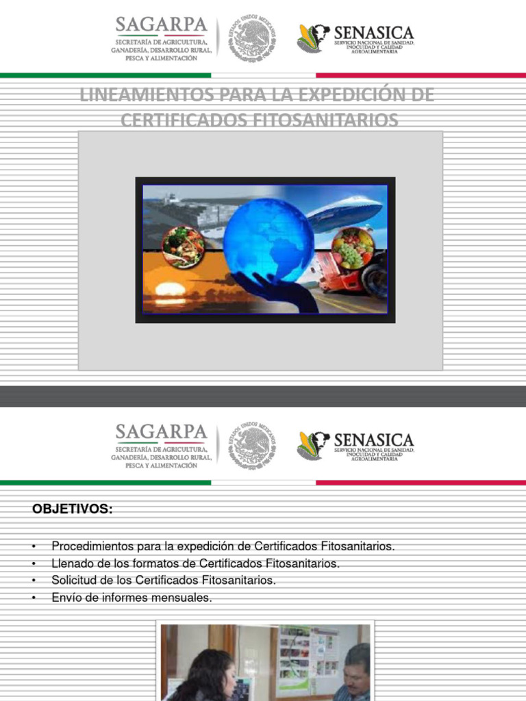 4.-Lineamientos para La Expedici N de Certificados Fitosanitarios 1 1 | PDF