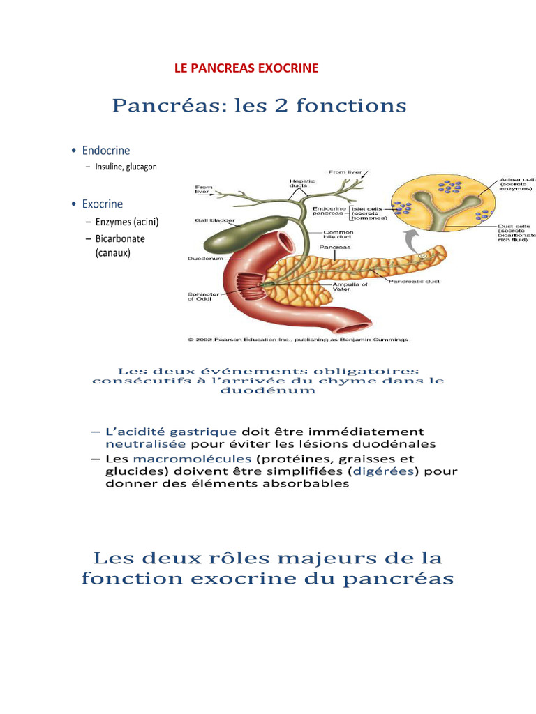 Pancreas Exocrine Madani | PDF