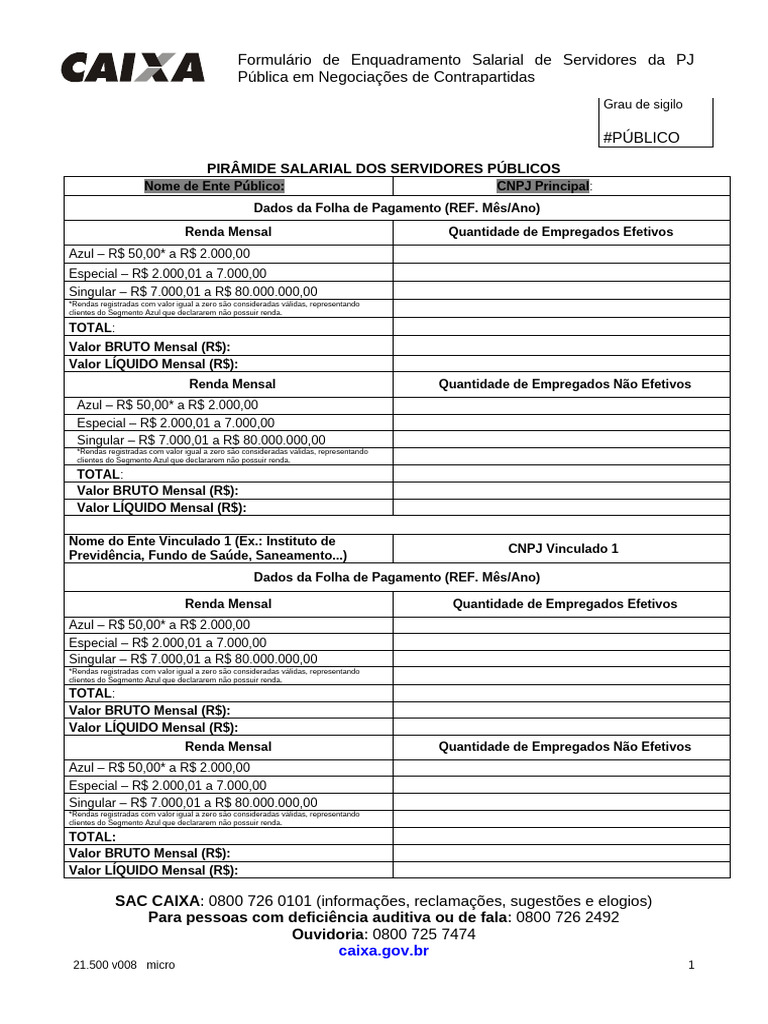 Formulário Pirâmide Salarial | PDF | Economias