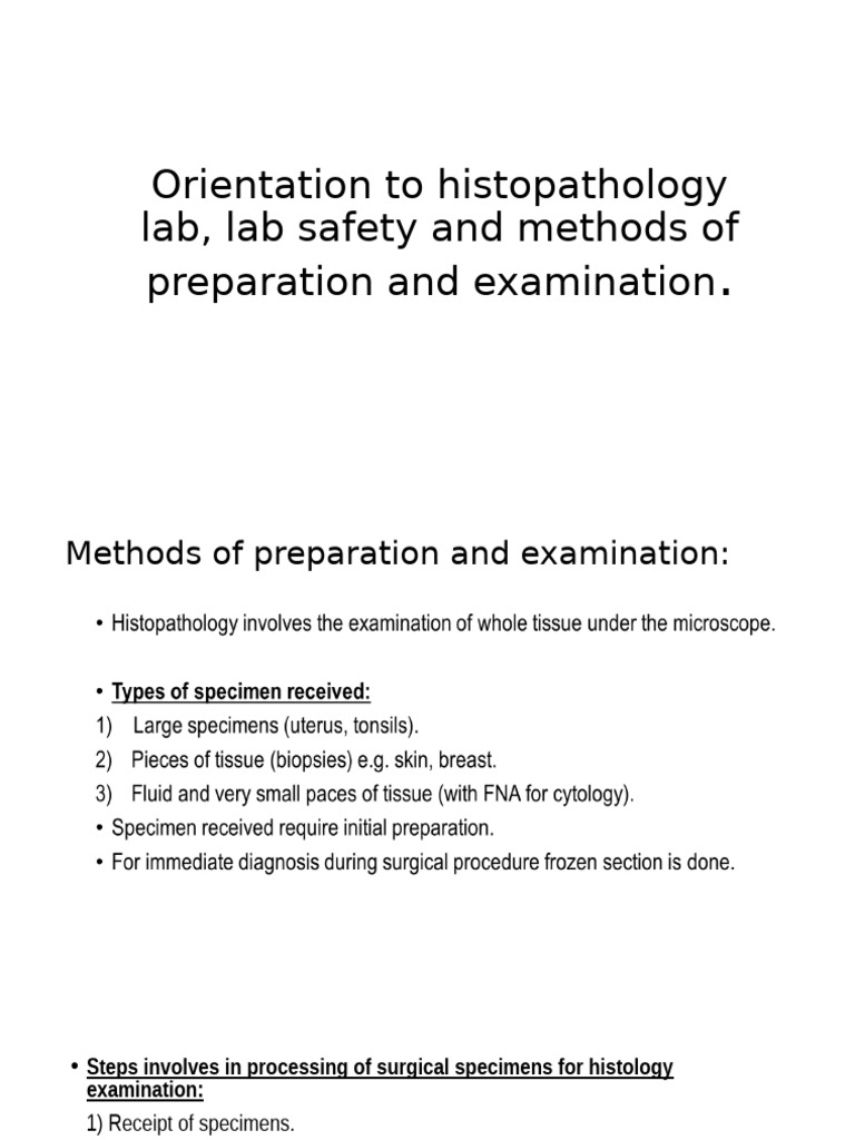 Histology Lab 6 | PDF | Science & Mathematics