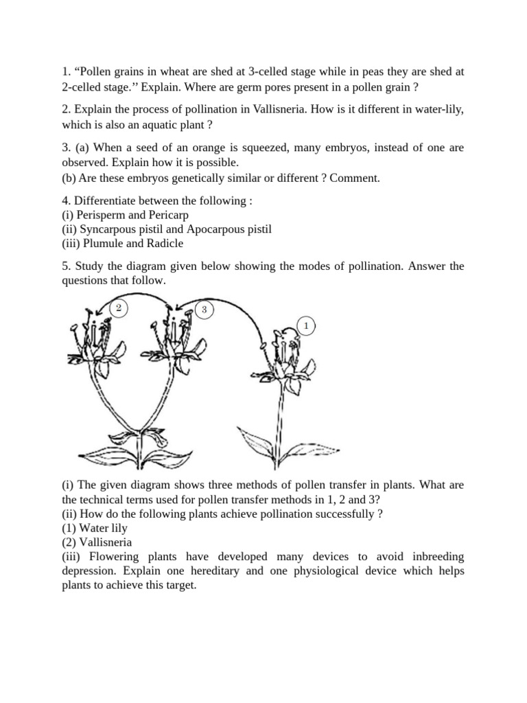 sample qn | PDF | Flowers | Pollination