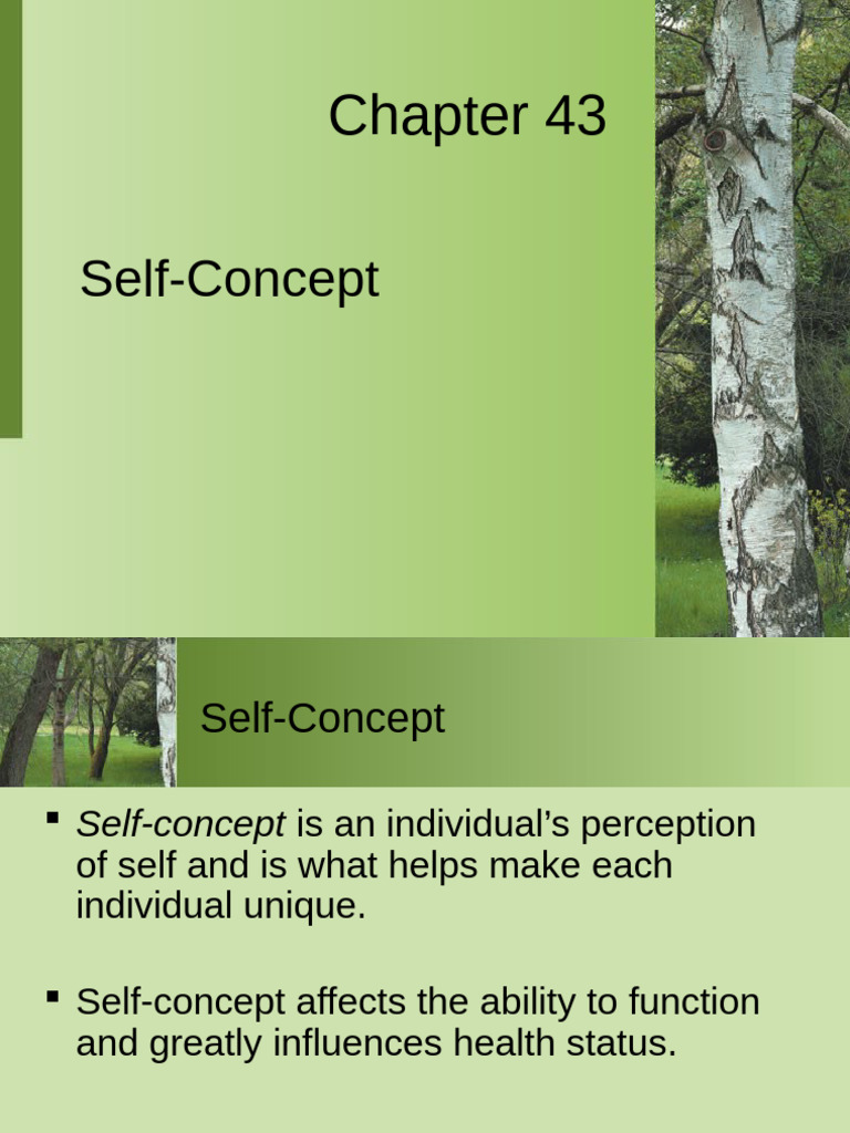 Self Concept | PDF | Self Concept | Identity (Social Science)