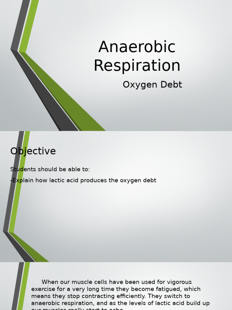 Anaerobic Respiration Oxygen Debt | PDF | Wellness