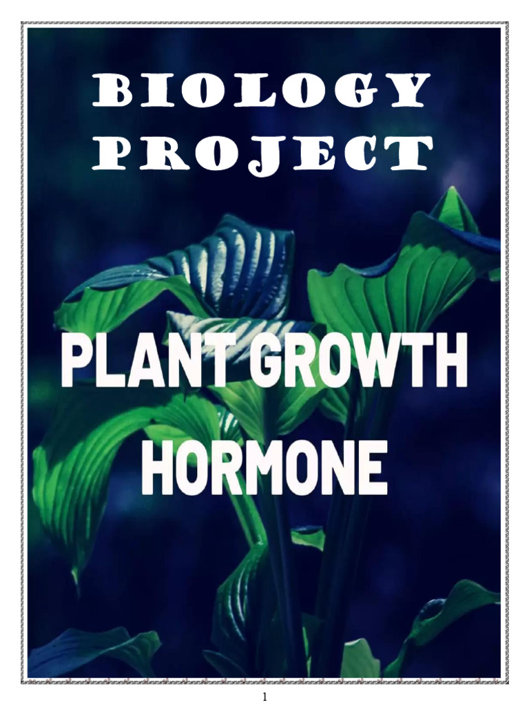Plant Hormones and Growth Project | PDF | Plant Hormone | Biology