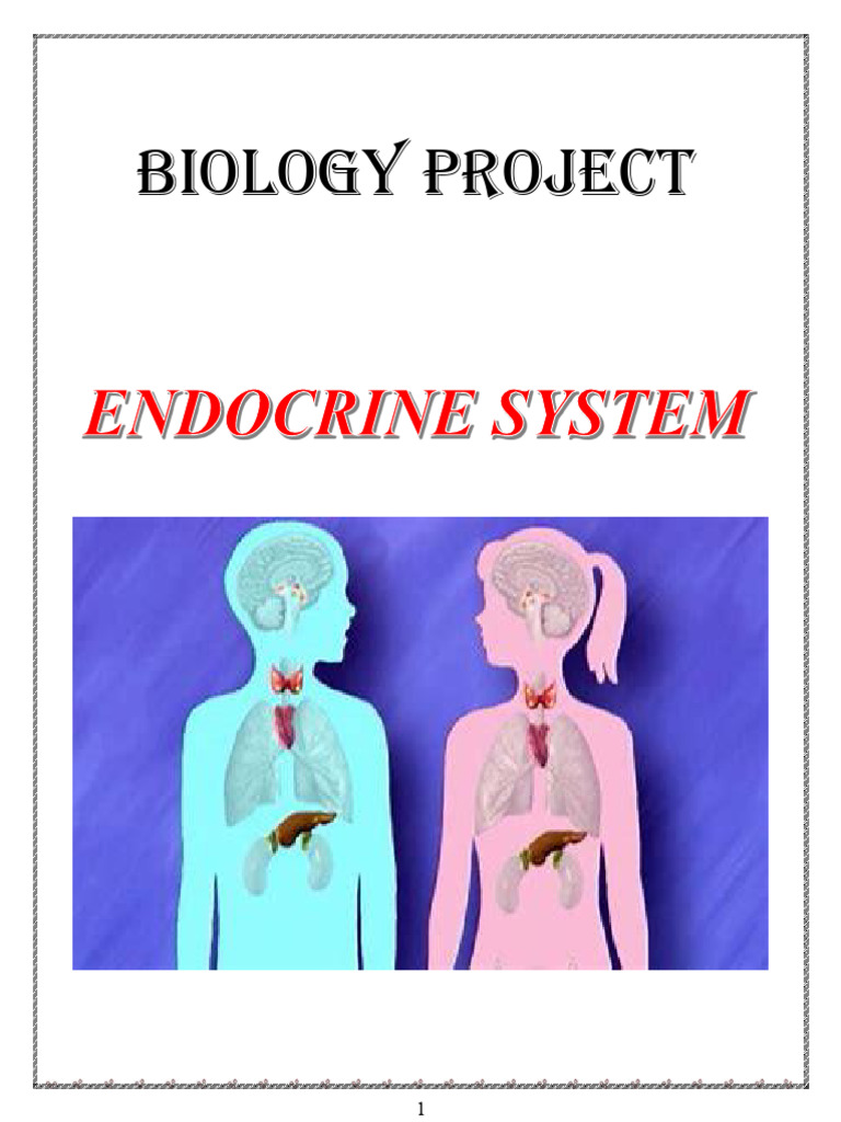 Endocrine System Pdf Hormone Endocrine System