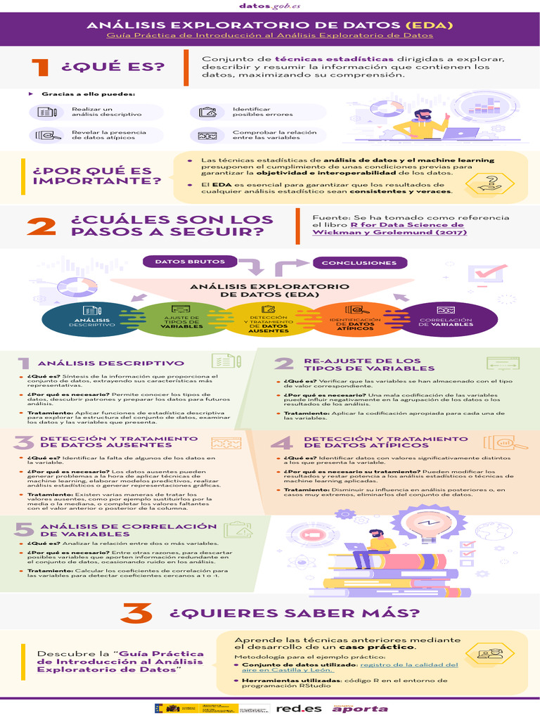 Infografia Analisis Exploratorio Datos Accesible | PDF | Estadísticas ...