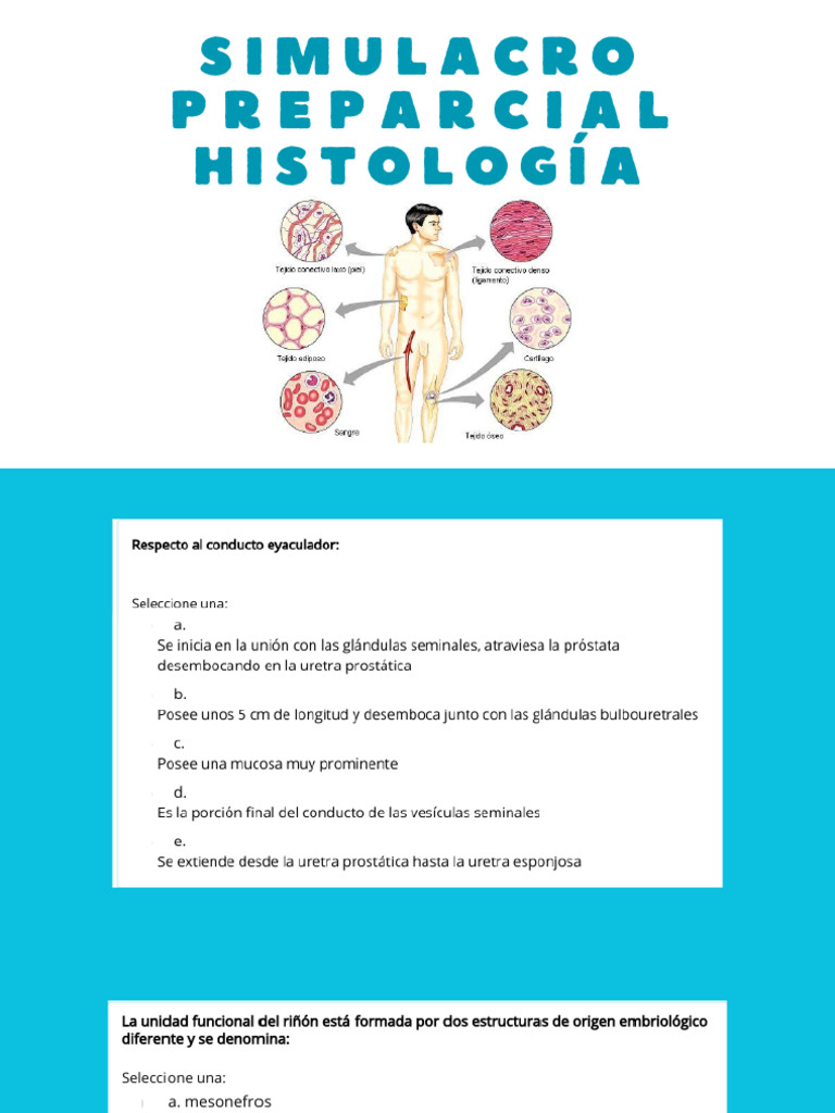 Simulacro Histo 2 (1) | PDF