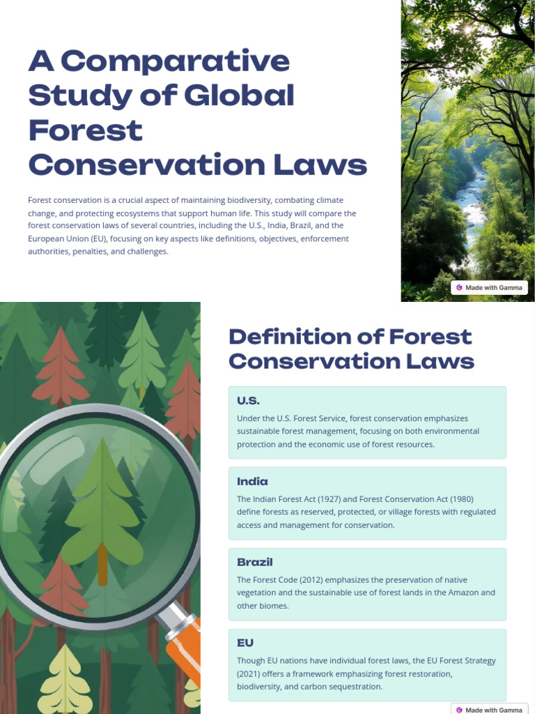 Global Forest Conservation Laws Overview | PDF | Forests | Logging