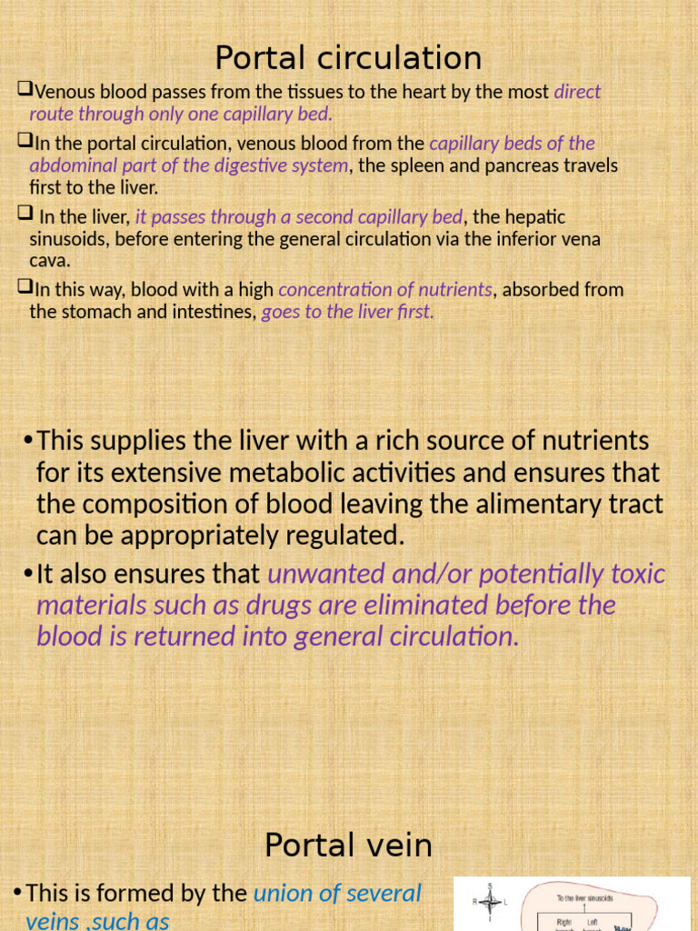 Portal Circulation | PDF | Wellness | Science & Mathematics