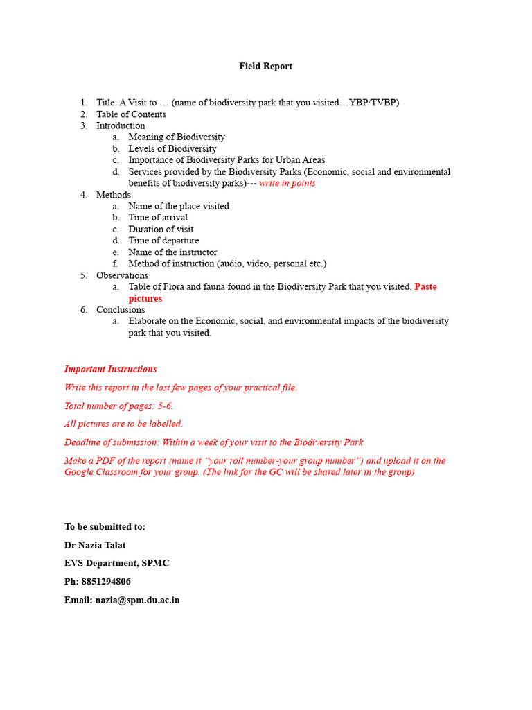 Field Report-Format | PDF