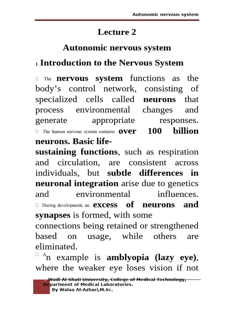 Lecture 2 Autonomic Nervous System Pdf Pdf Autonomic Nervous System Acetylcholine