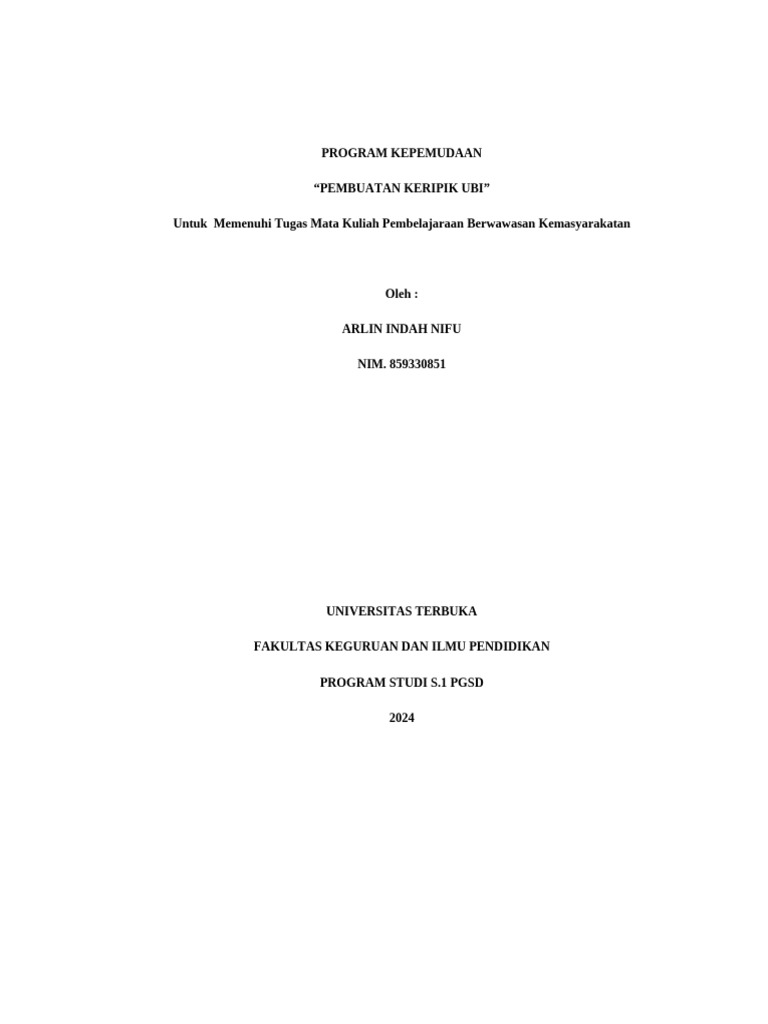 Rancangan-Program-Kepemudaan Arlin Nifu | PDF