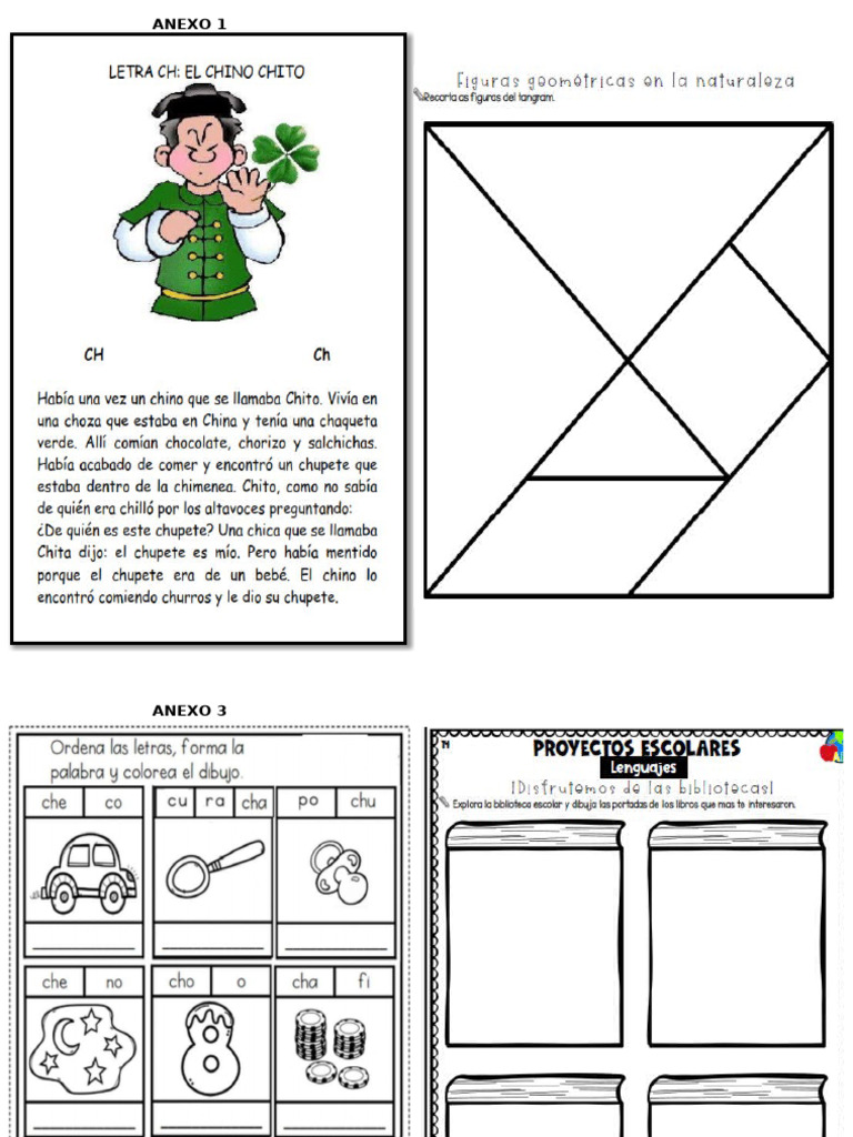 Anexos del Documento Principal | PDF