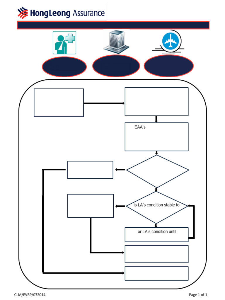 (VI) Emergency Evacuation Repatriation Process | PDF