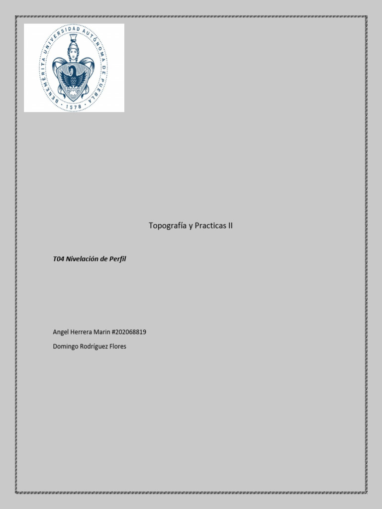 T04 Nivelación de Perfil | PDF