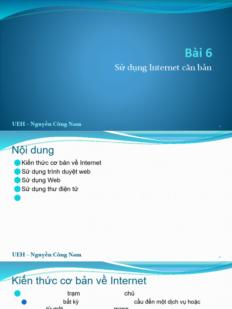 Bai6 SuDungInternetCoBan | PDF