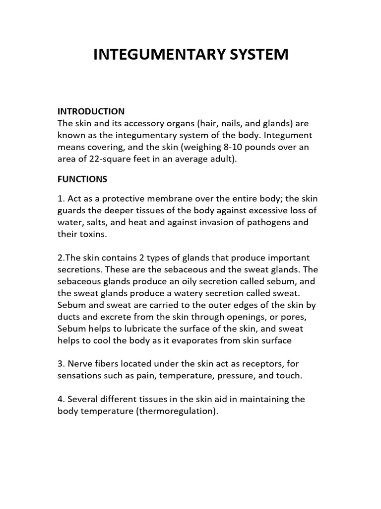 PDF Integumentary System | PDF | Skin | Integumentary System