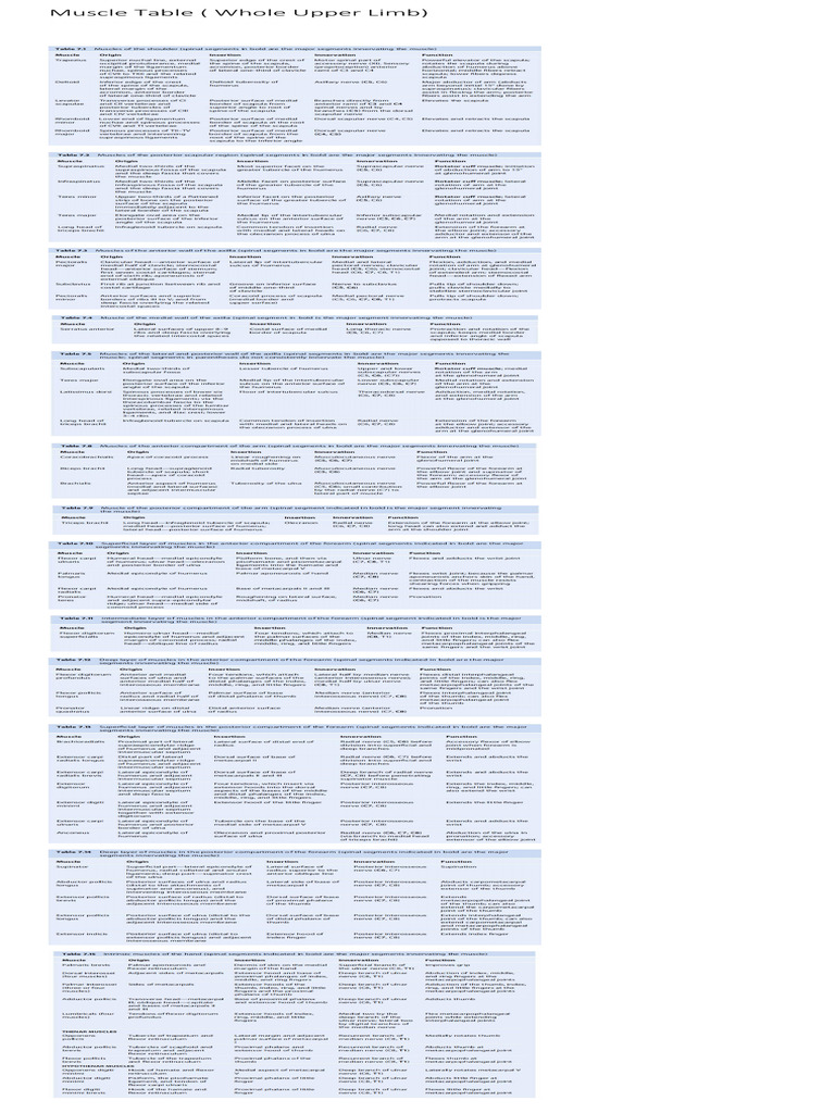 Muscle Table (Whole Upper Limb) | PDF