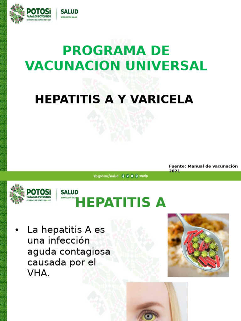 HEPATITIS | PDF | Inmunología | Epidemiología