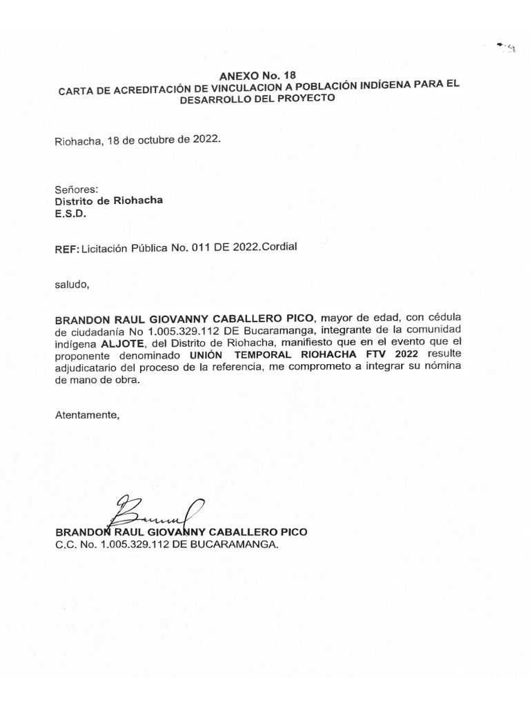 Factor Inclusión Social Brandon | PDF