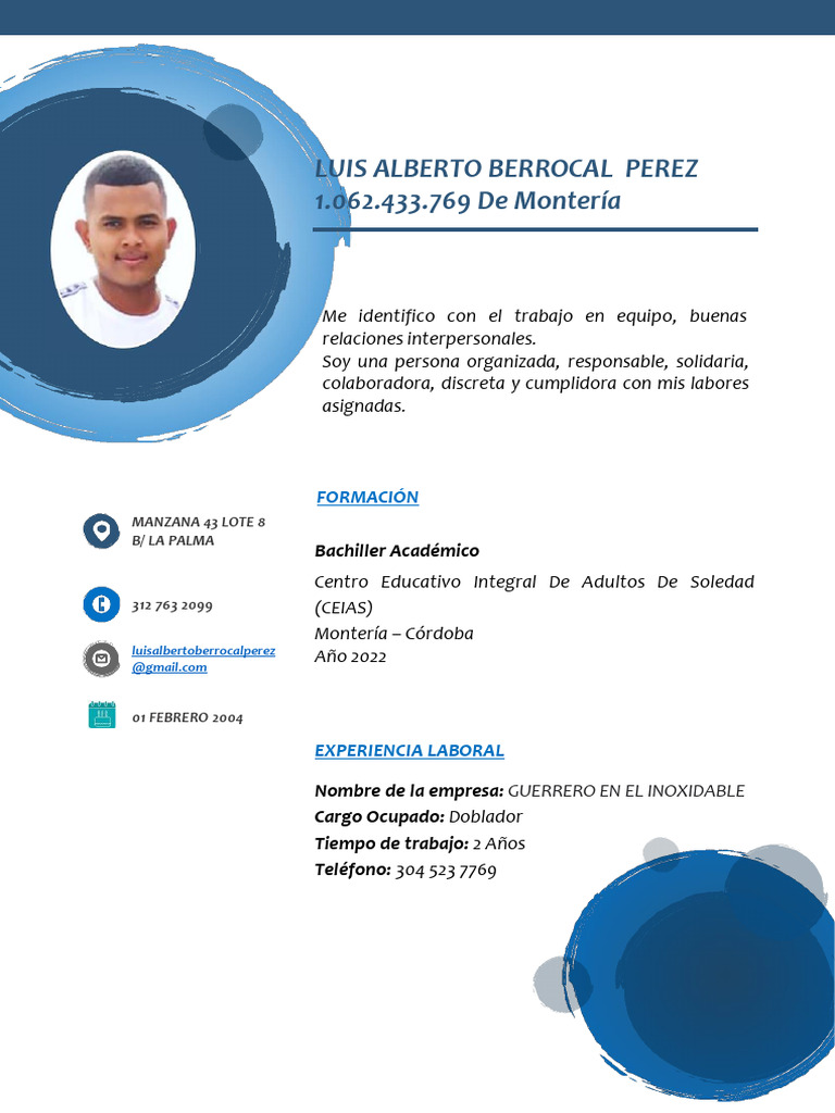 Hoja de Vida - Luis Alberto Berrocal Perez | PDF