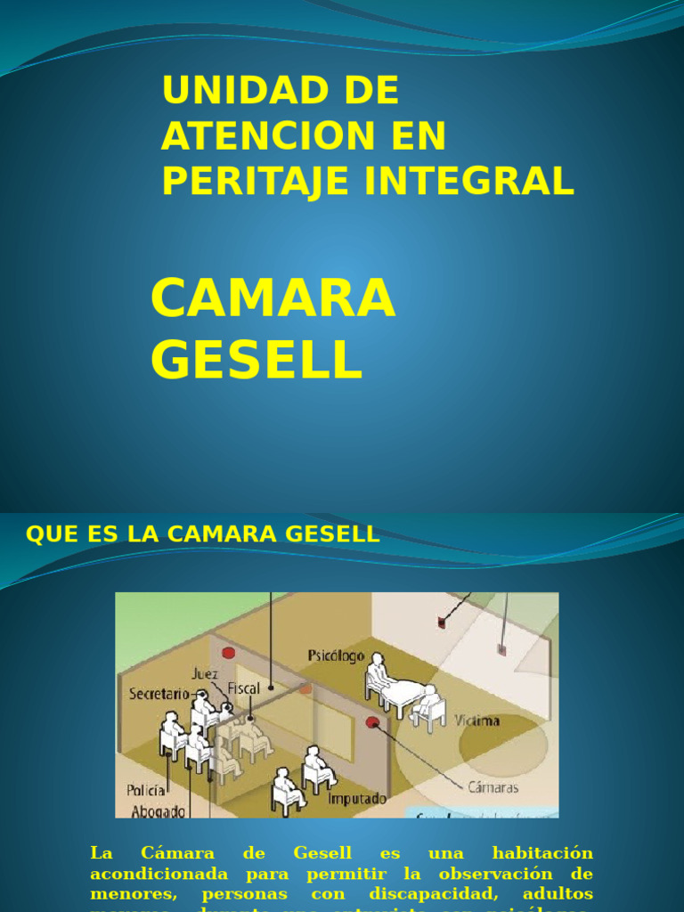 Cámara Gesell: Función y Equipamiento | PDF