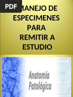 Histologia, Paaf y Células Mamarias | PDF | Epitelio | Biopsia