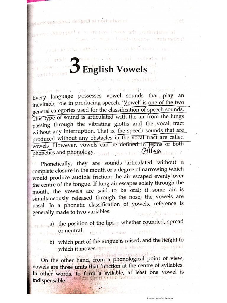 Book - Topic - Vowels and Consonants | PDF